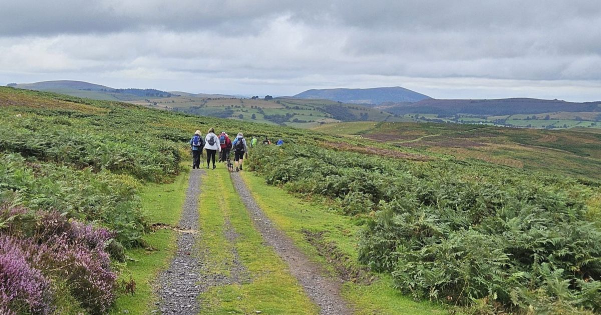 Long Mynd: Shropshire's oldest and newest paths - Ramblers